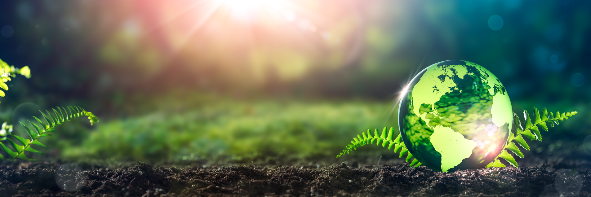 April 2023: A Month for Protecting Our Planet | Pace PR